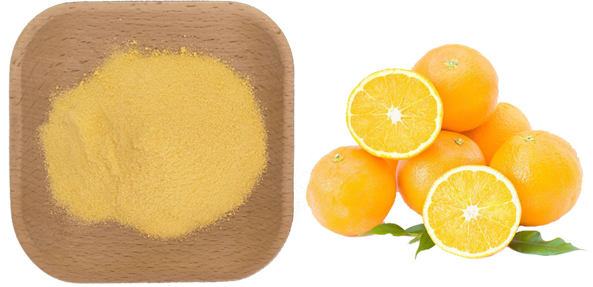 Wholesale Freeze Dried Orange Slice and Powder Manufacturer and ...