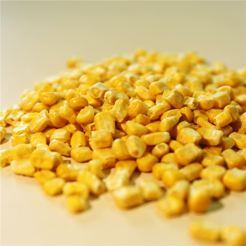 Wholesale Good Taste Kosher certified Freeze Dried Sweet Corn ...